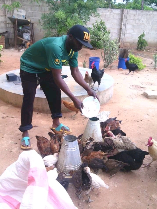 Local Poultry Farming With Health Benefits For Consumers - GCR