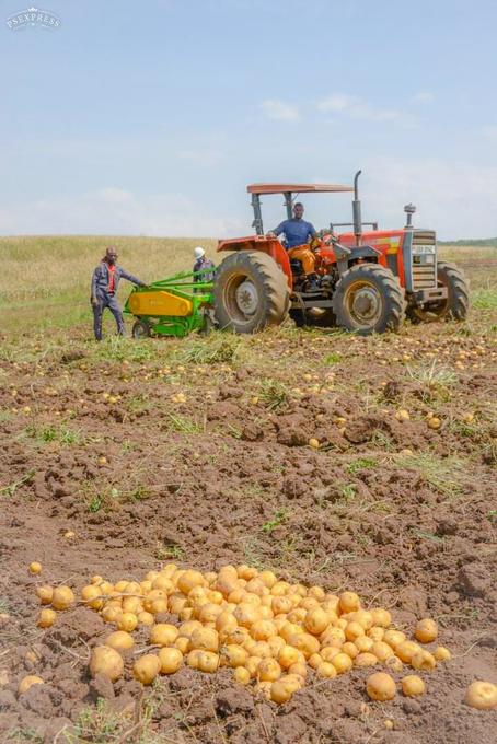 Gabby Farm Implements - GCR