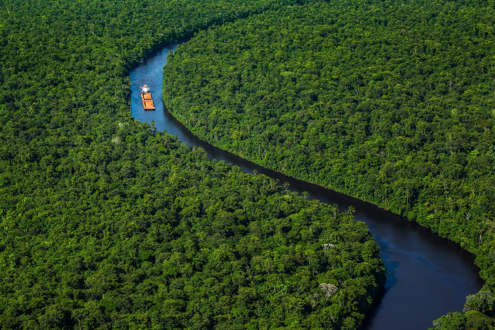 Amazon Rainforest Protection - GCR