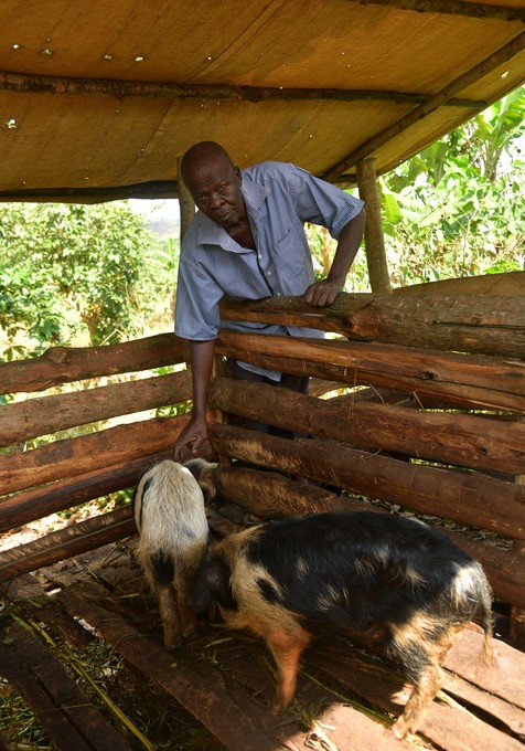 Deus Piggery Project - GCR